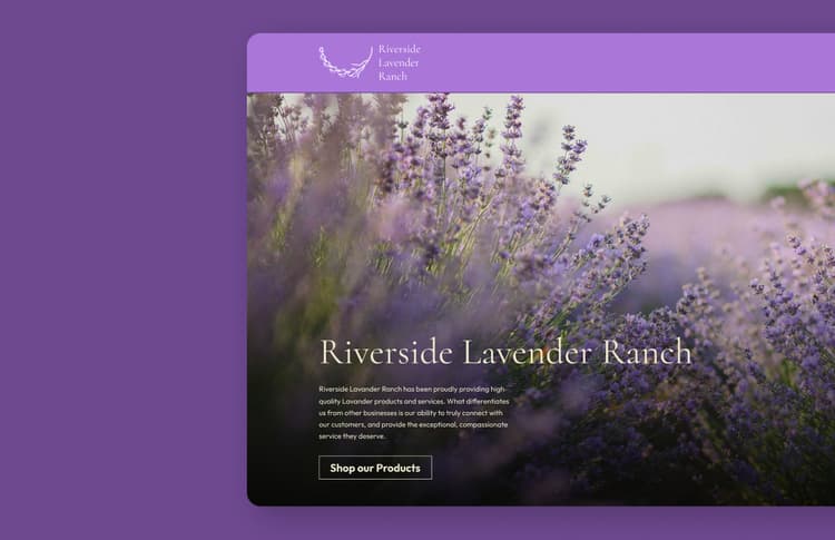 Jay Indino - Graphic Designer & Creative Developer